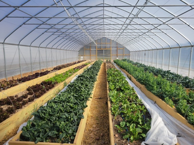 Our Farming Practices – York Fresh Food Farms