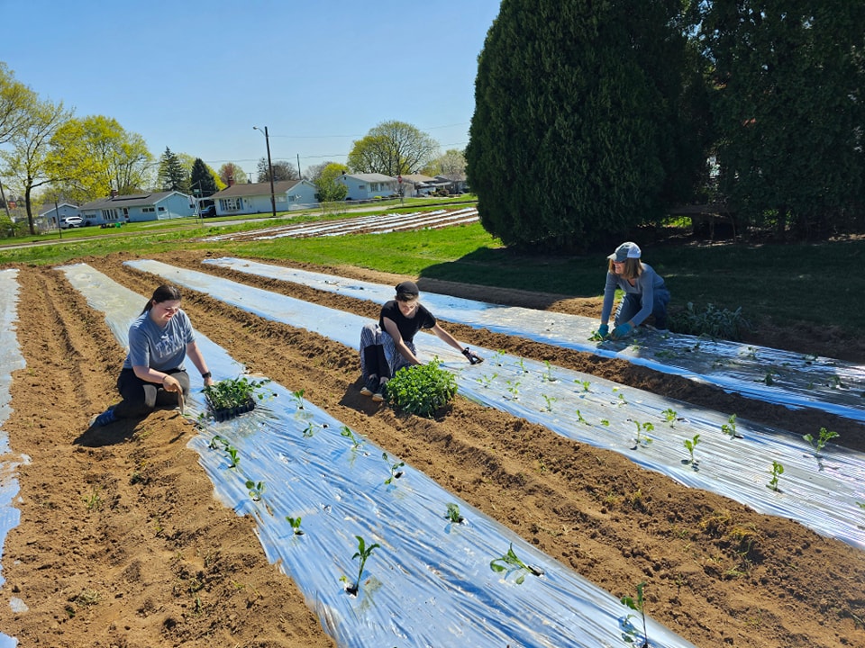 Our Farming Practices – York Fresh Food Farms